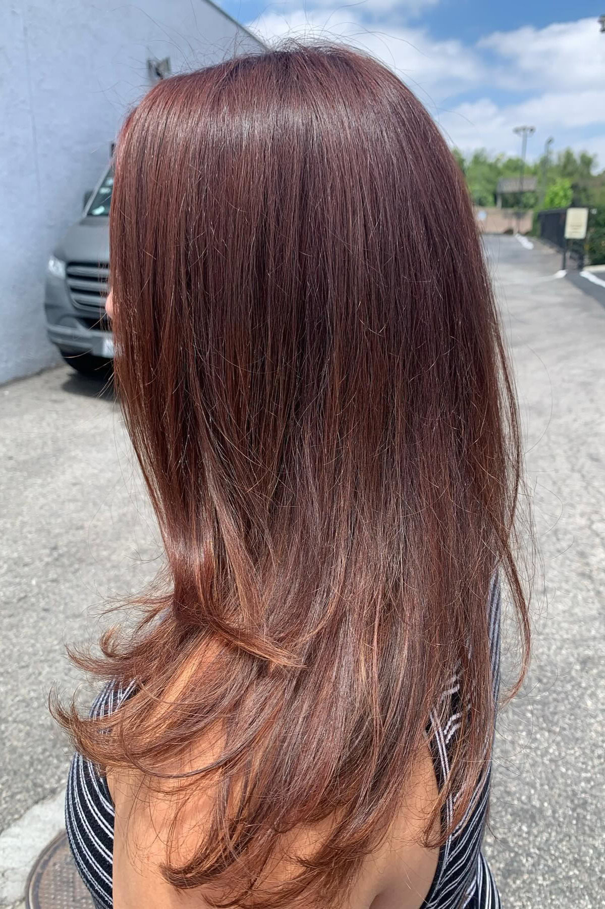 25 Stunning Mahogany Hair Color Ideas That Will Make You Glow - Flo's Blog