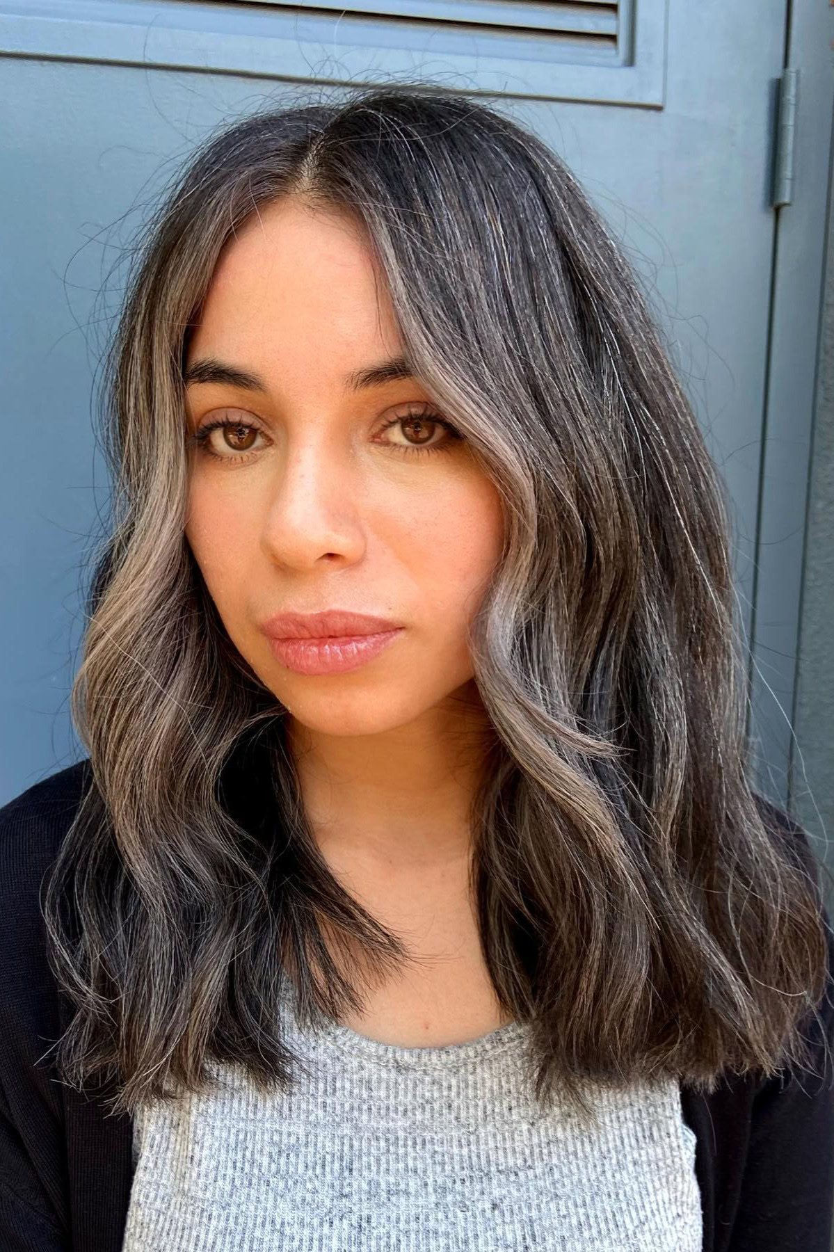 30+ Chic Silver Highlights and Gray Blending Ideas for Dark Hair (NEW ...