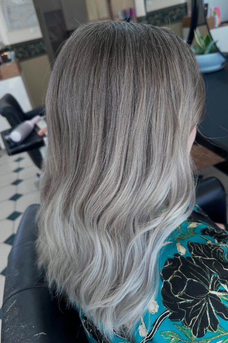 30+ Chic Silver Highlights and Gray Blending Ideas for Dark Hair (NEW ...