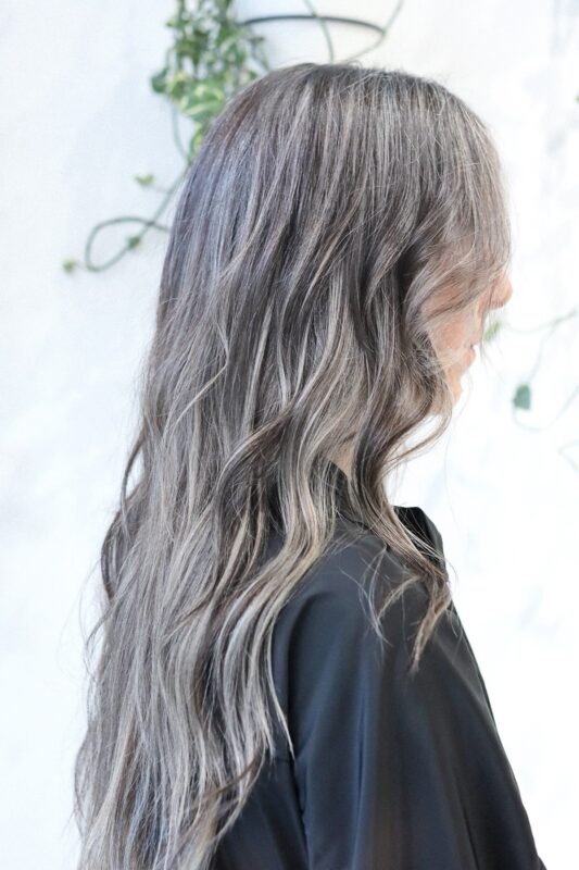 30+ Chic Silver Highlights and Gray Blending Ideas for Dark Hair (NEW ...